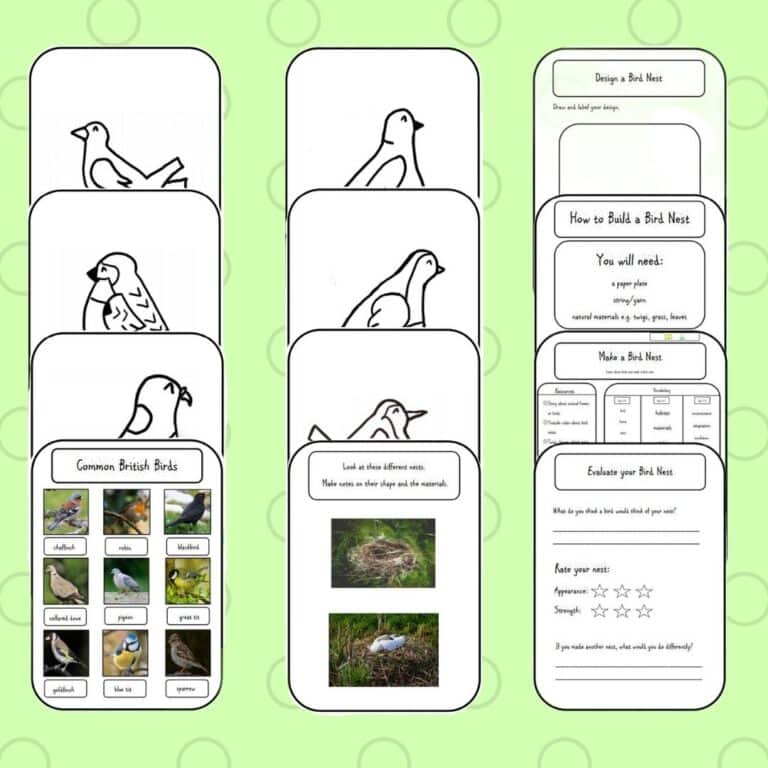 Make a Bird Nest - Petal Resources