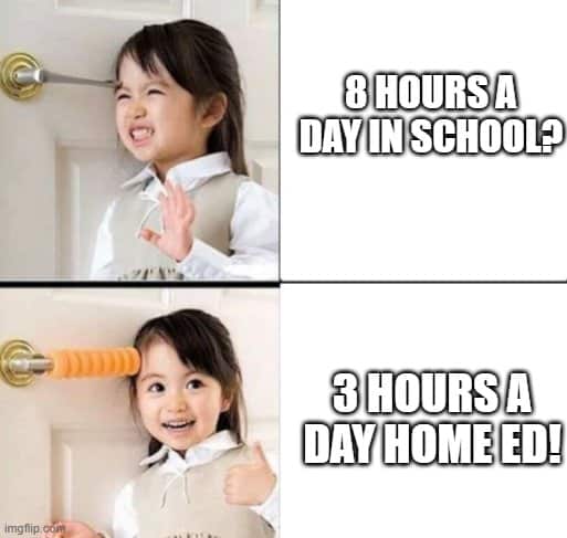Homeschooling Memes to Make You Smile - Petal Resources