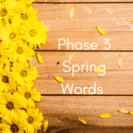 Phonics Words: A List of Spring Themed Words - Petal Resources
