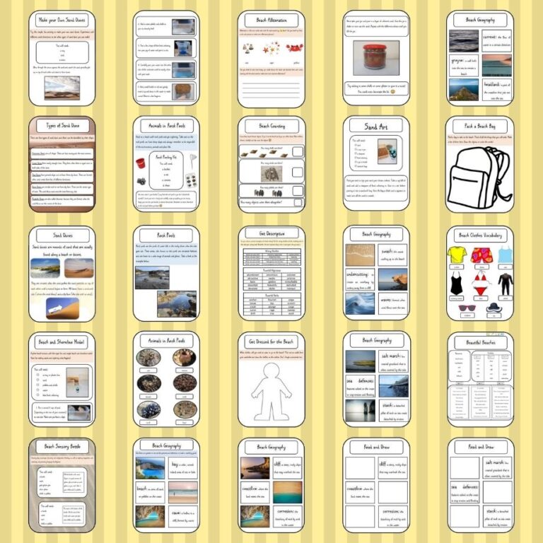 Beautiful Beaches, Learn to Love our Coasts - Petal Resources