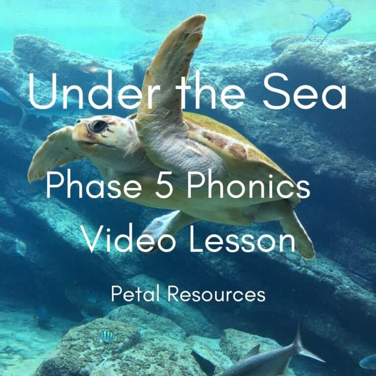 Under the Sea Phase 5 Phonics Video Lesson - Petal Resources